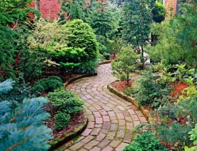 Garden paths with their own hands: 9 original ideas 1465_5