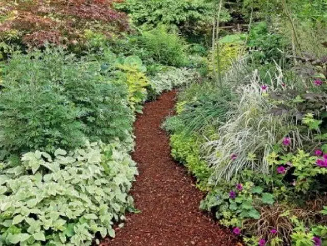 Garden paths with their own hands: 9 original ideas 1465_9