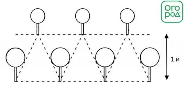 TUY着陆计划