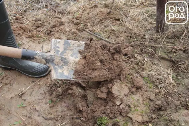 Tui Landing Pit.