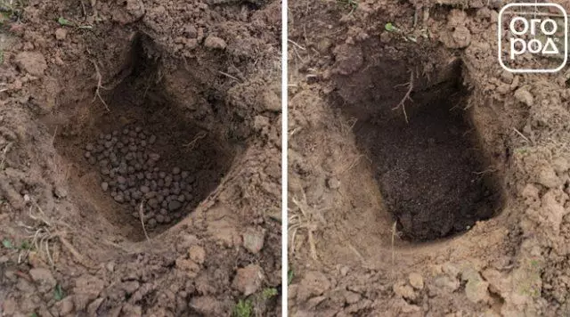 Tui Landing Pit.