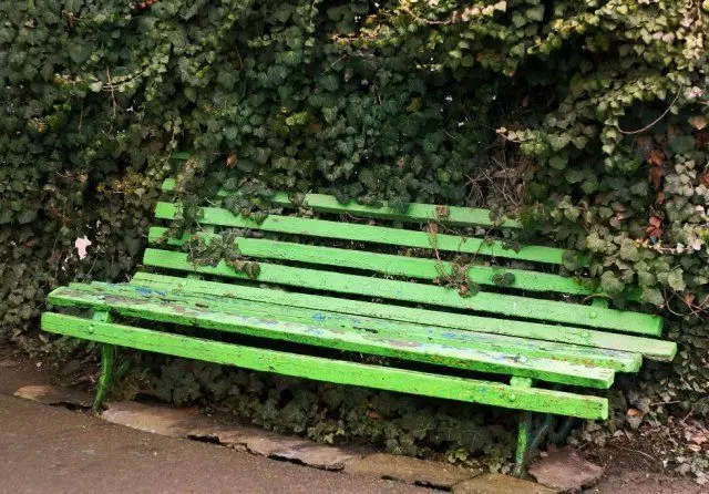 Green bench