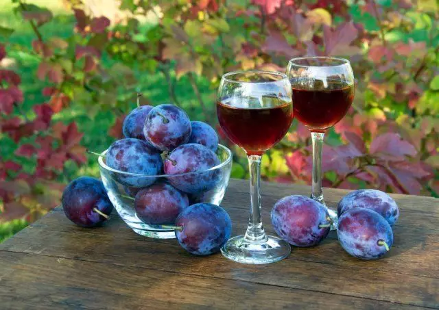 Plum tincture, resep kana tali. Tincture + di alkohol,