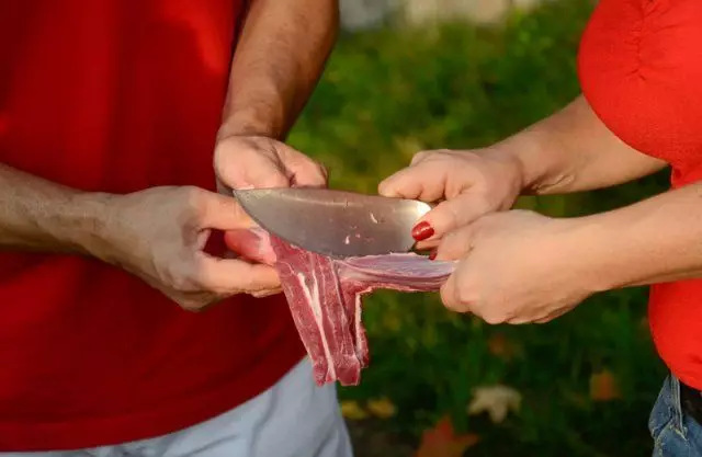 Kniv för att skära kött