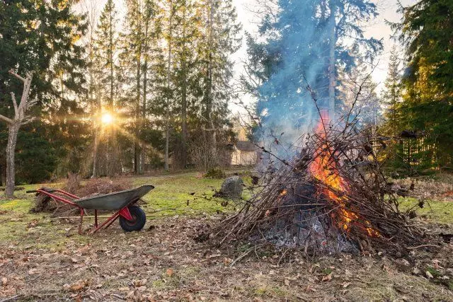 Brinnande vegetation i början av våren