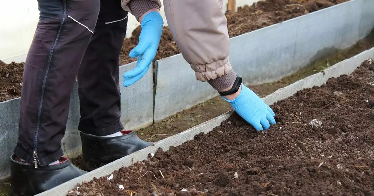 Gătit un pat pentru aterizare sau 3 moduri