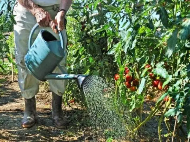 Folk Feeding of Tomates and Pepumbers - Recetas probadas