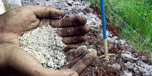 Makan rakyat tomat dan mentimun - Resep yang terbukti