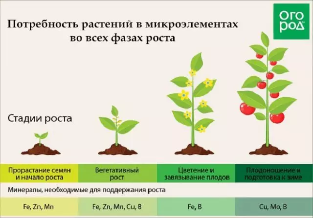 Formación de alimentación, por qué, ¿cuándo? 1595_2