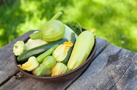 Zucchini: විවෘත පසෙහි ගොඩබෑම, වගාව සහ රැකවරණය 160_5