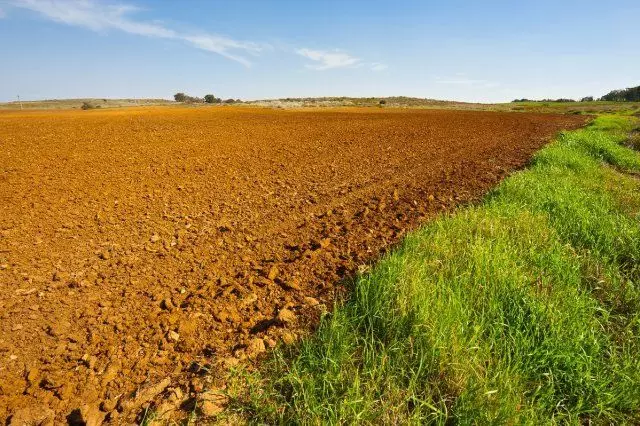 Field with sandy soil