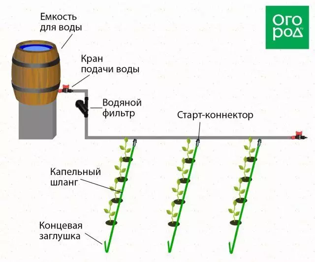 Կաթիլային ջրեր - սխեմա 3