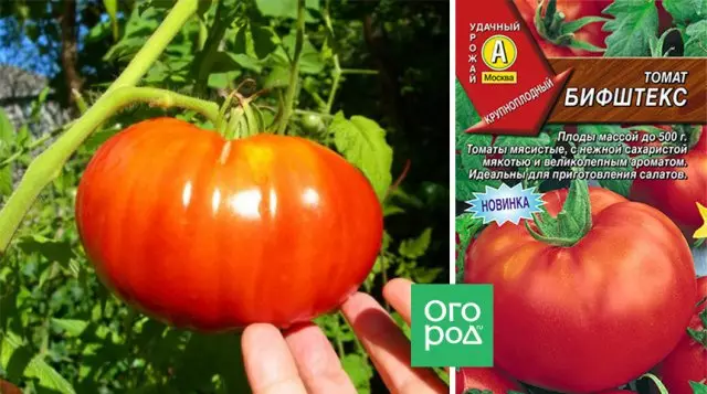 Tomato Bifstex-vario