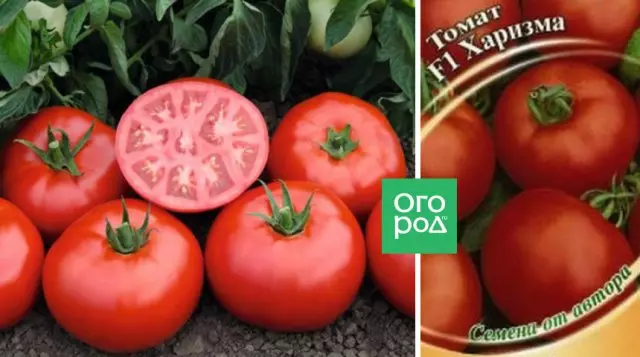 Tomato karismo speco F1