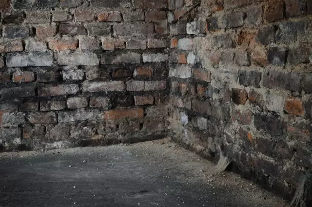 콜드 안개 발생기로 지하실과 지하실을 처리하는 방법