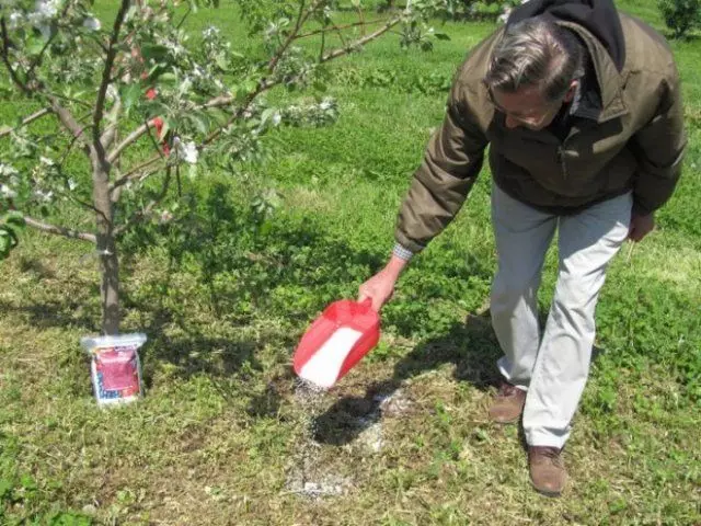 Making fertilizers