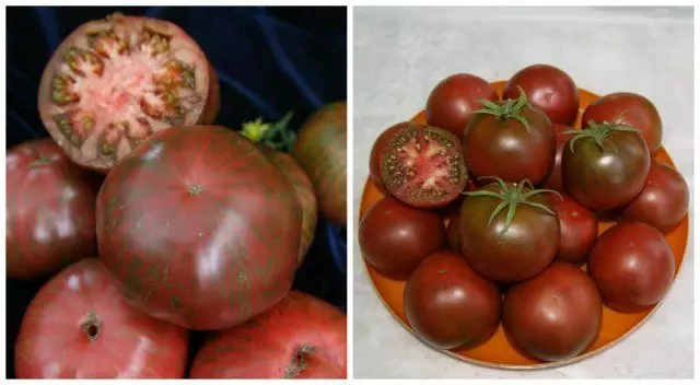 Variedad de chocolate tomate