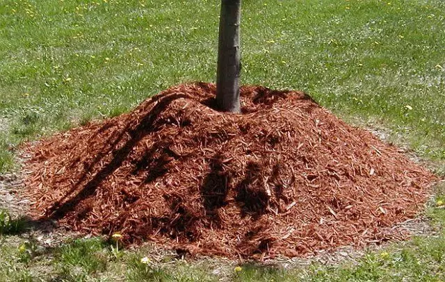 mulching.