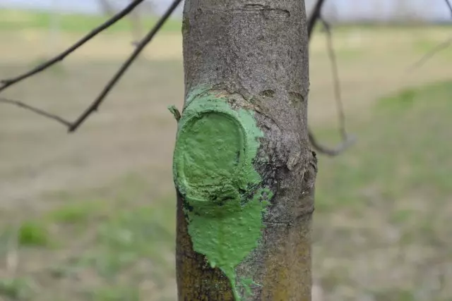 Ölfarbe auf einem Baum