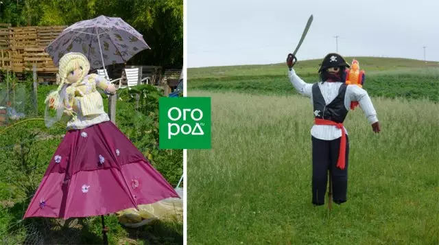 Cerrahi karnaval kostümleri fotoğrafı doldurulmuş