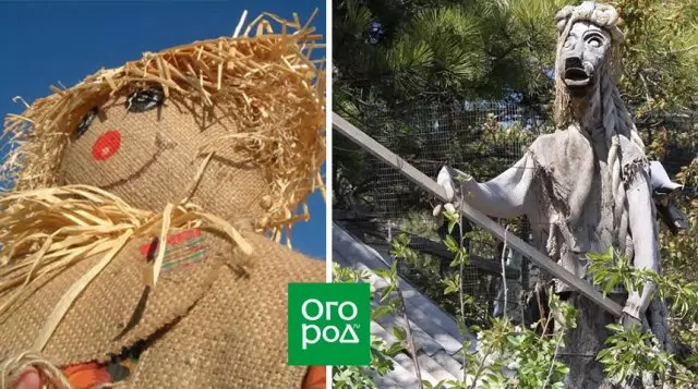 Vrt punjena platna fotografija