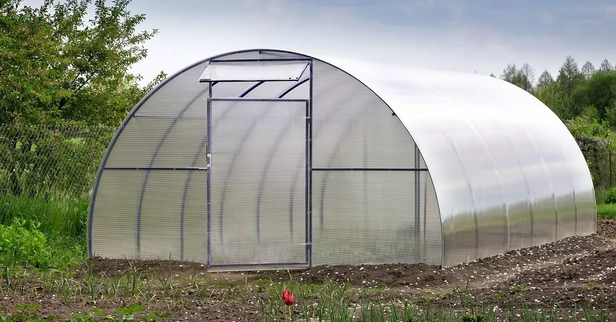 Ukupheka i-greenhouse ukusuka kwi-polycarbonate ukuya kwi-Pep