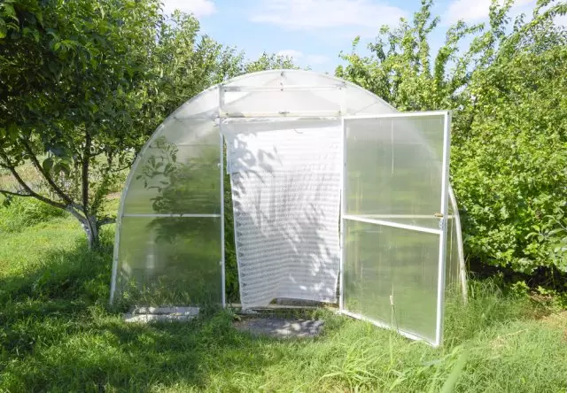 နွေရာသီတွင် Polycarbonath Greenhouse