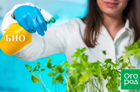 Produtos biológicos de proteção de plantas: espécies e métodos de aplicação 1738_7