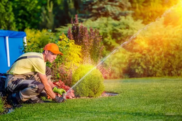 Spring Lawn Care