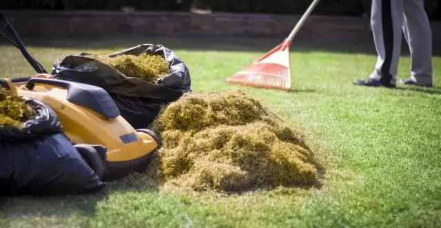 Våren plenen omsorg