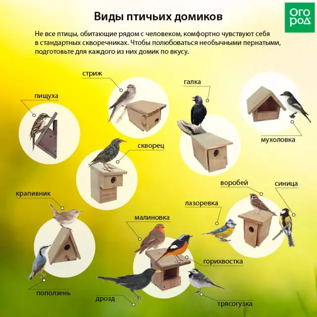 Tegundir Bird Houses