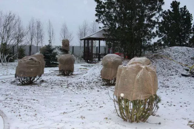 Burlap za sklonište