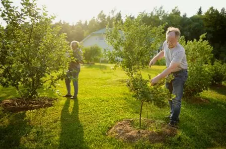 Čo robiť v júni - 30 najdôležitejších vecí v záhrade, záhradu a kvetinovej posteli 1775_7