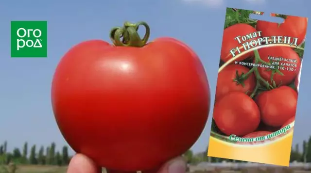 Tomato Portland F1