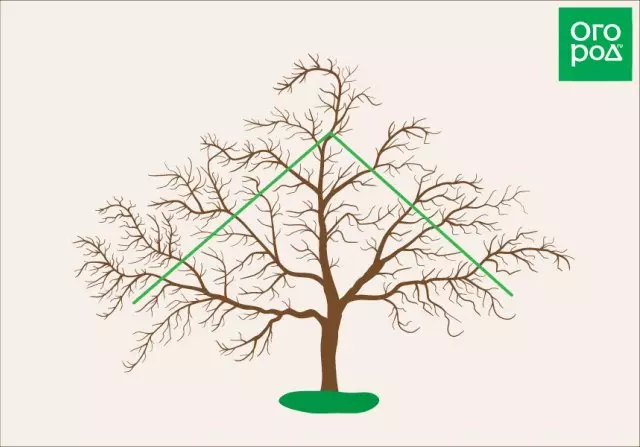 Cartanal returenatenting trimpming