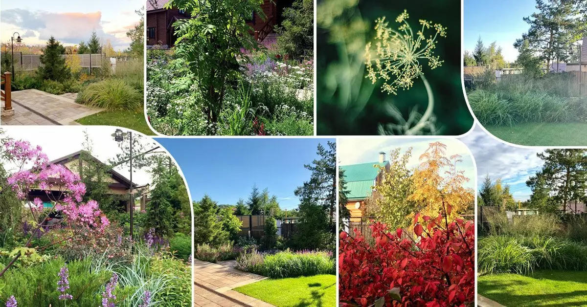 Charm e vista ben tenuta tutto l'anno - come è stato creato un giardino favoloso su una piccola area