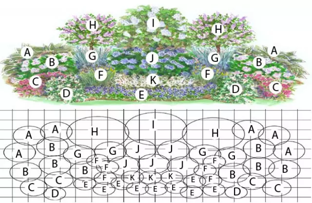 Awọn ododo lati awọn perennials