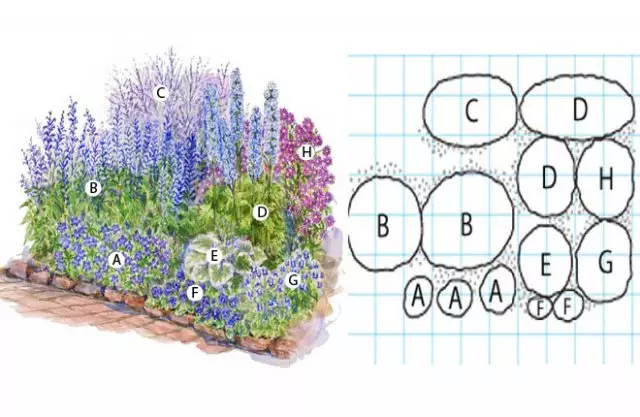 Awọn ododo lati awọn perennials