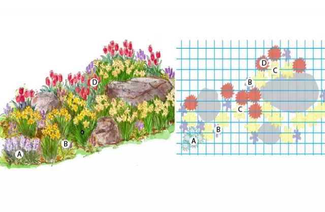 Awọn ododo lati awọn perennials