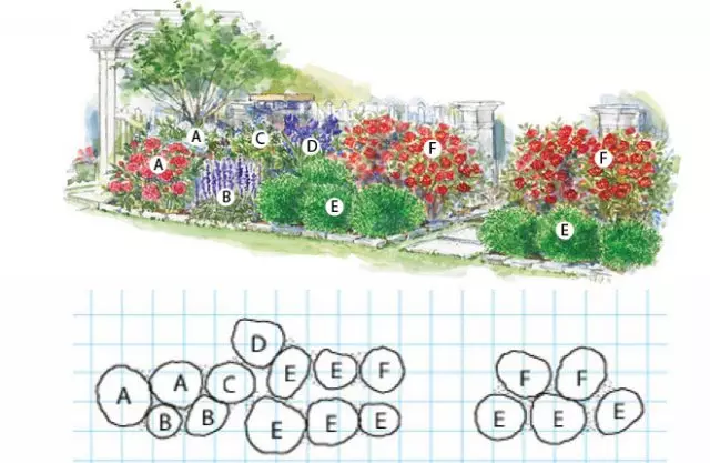 Awọn ododo lati awọn perennials