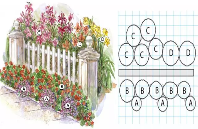 Awọn ododo lati awọn perennials