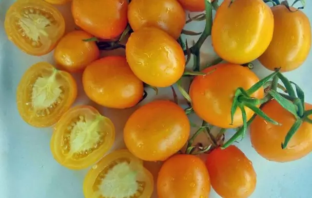 As mellores variedades de tomates para tomar e secar