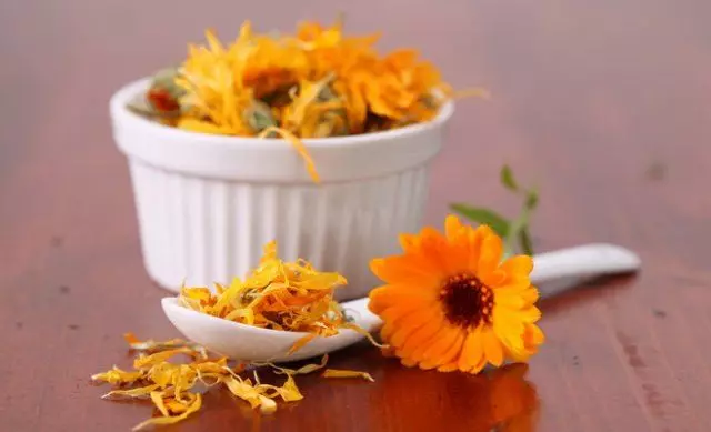 Calendula