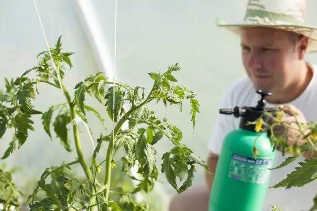 Sprøyting planter