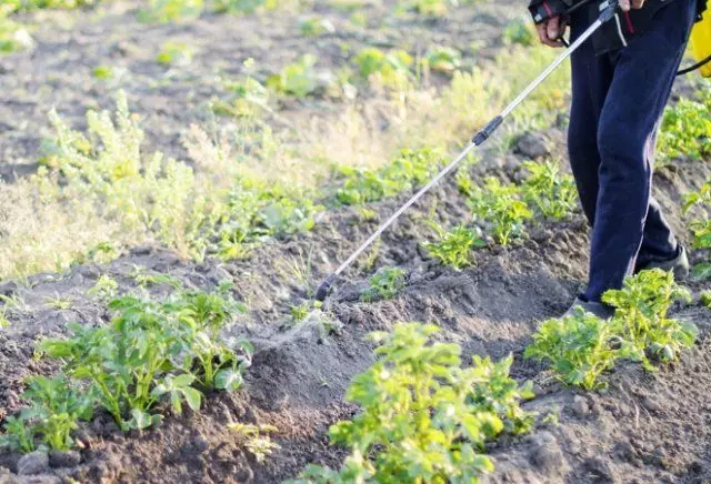 Kio estas la tanka miksaĵo, aŭ kiel miksi pesticidojn?