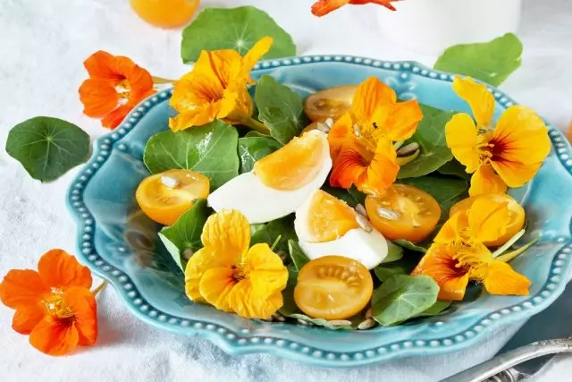 Essbare Blumen - Foto, Beschreibung, Wachstum