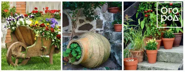 Collage - Växter i objekt