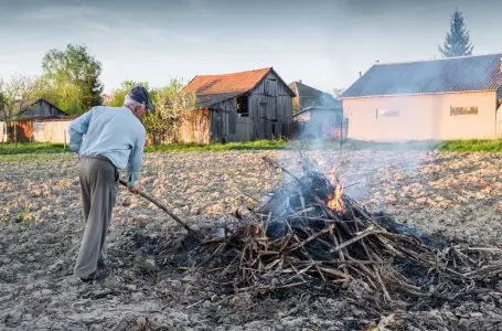 Sărbătorim noul an la cabana: 18 nuanțe care trebuie luate în considerare 1979_12