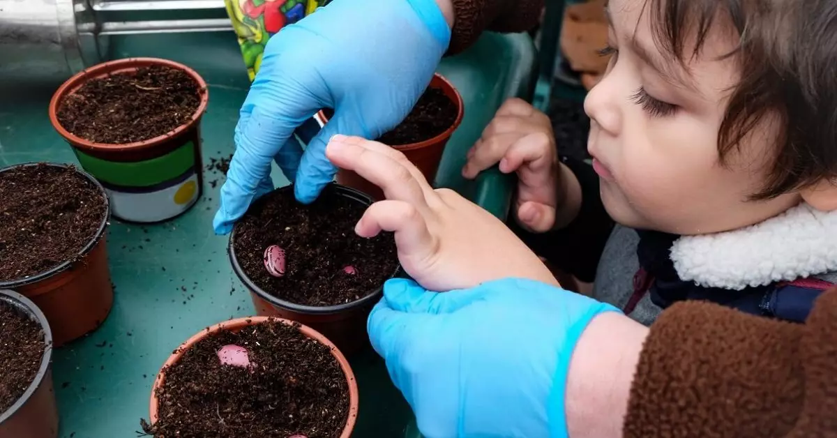 Girling of Young Nerd - 7 plantas que se poden cultivar con fillos