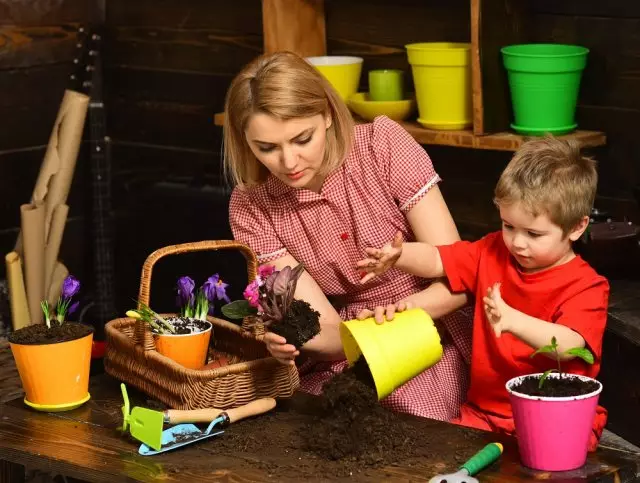 cultivar plantas com crianças